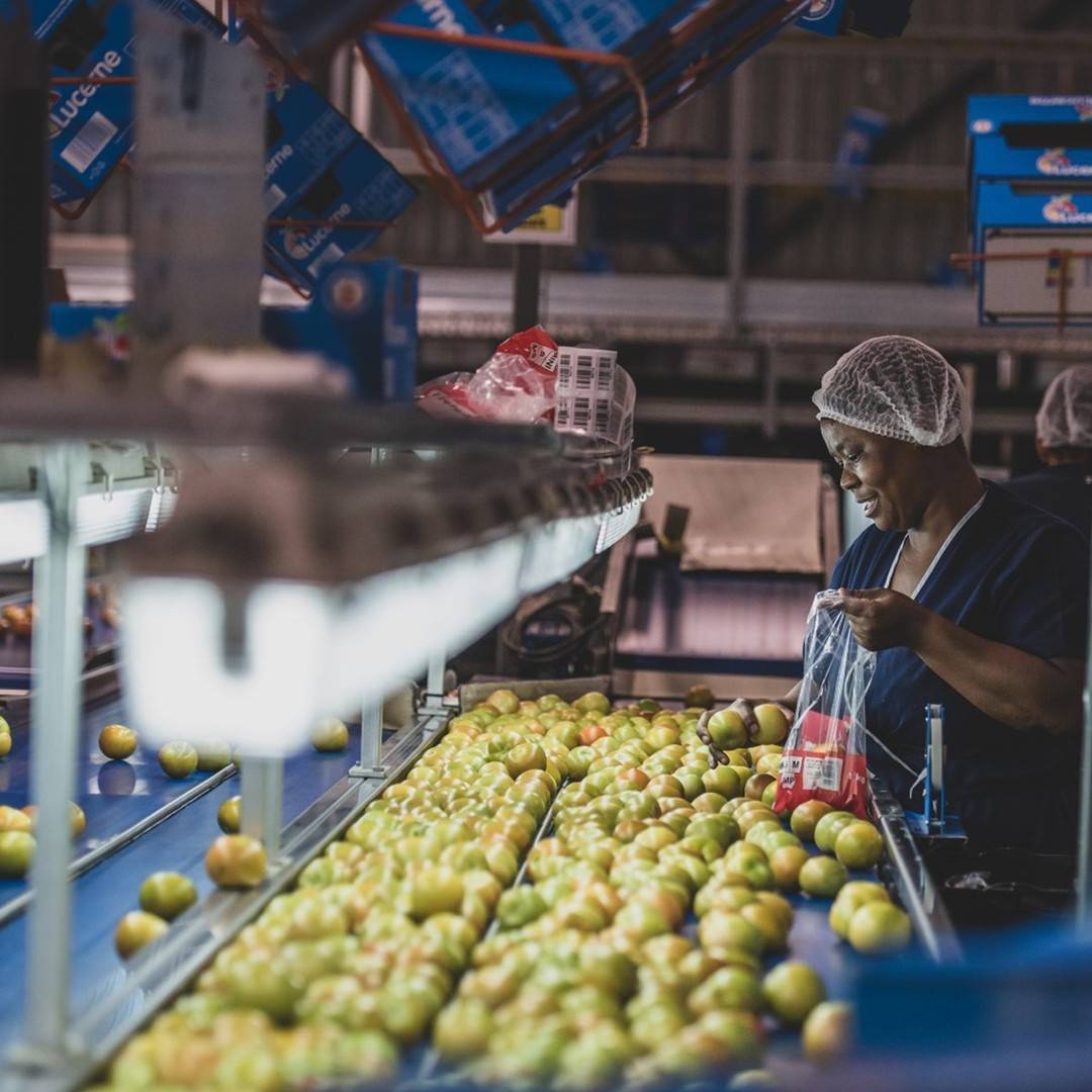 LUCERNE PACK - Lucerne Agri Investments