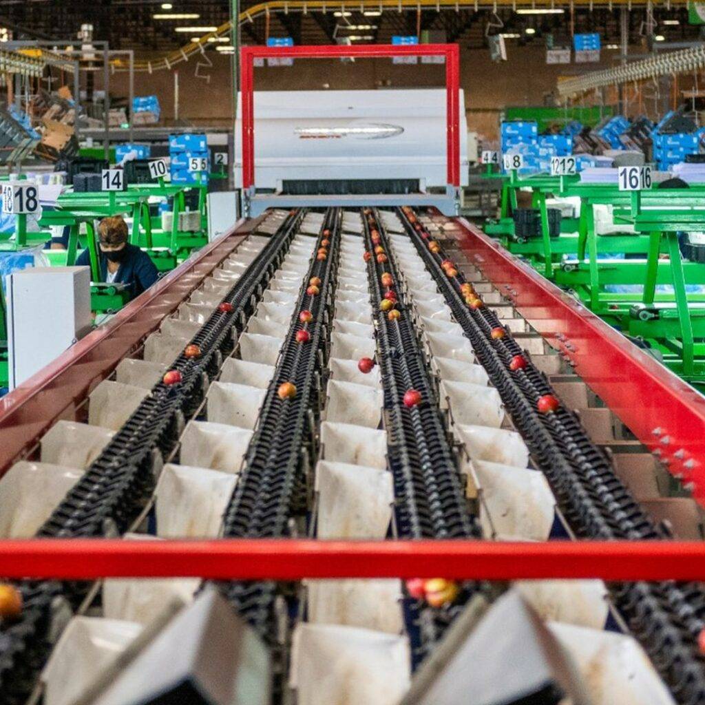 GROWERS CONNECT - Lucerne Agri Investments