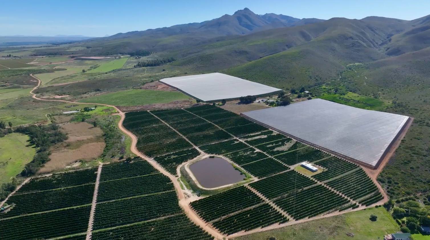 ABOUT US - Lucerne Agri Investments